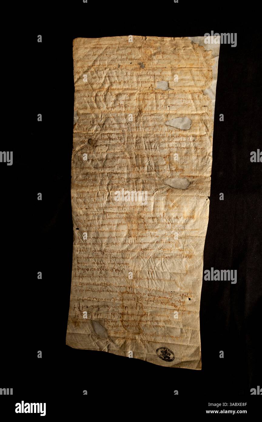 Donation to the Church of San Pietro in Castello of Verona, in 809 ...