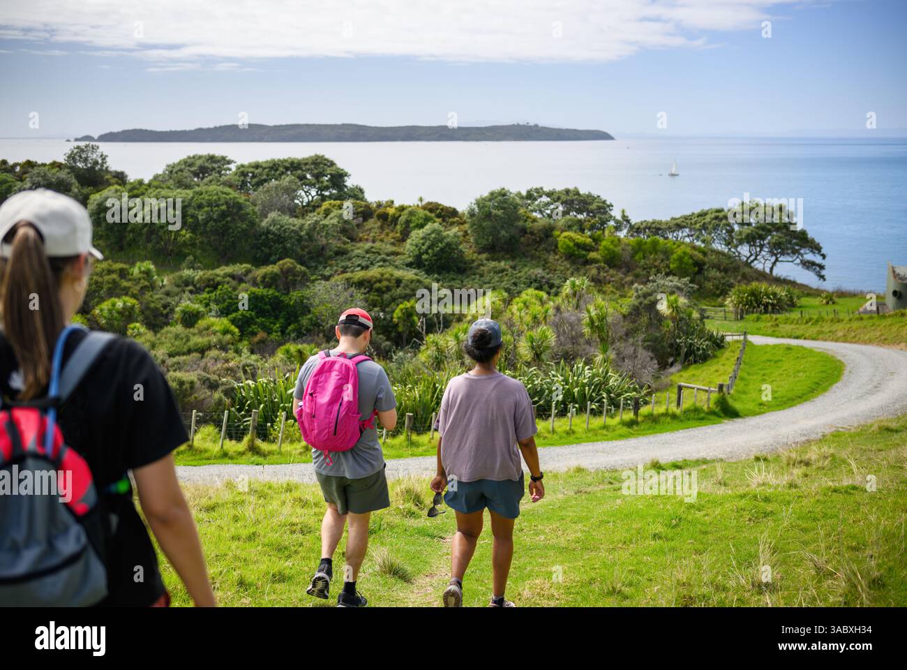 Three people walking on the green hill at Shakespear Regional Park ...