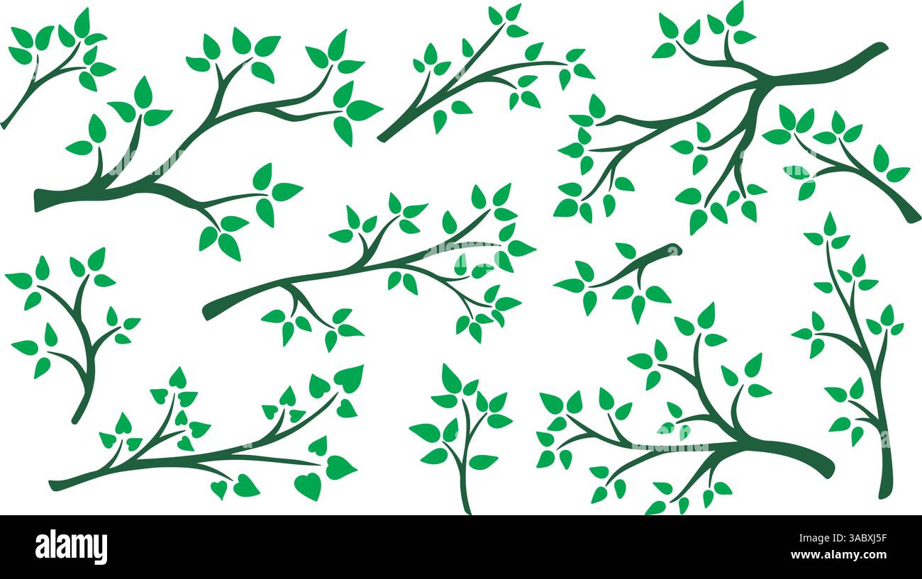 Tree branch with young green leaves set. Deciduous tree branches ...