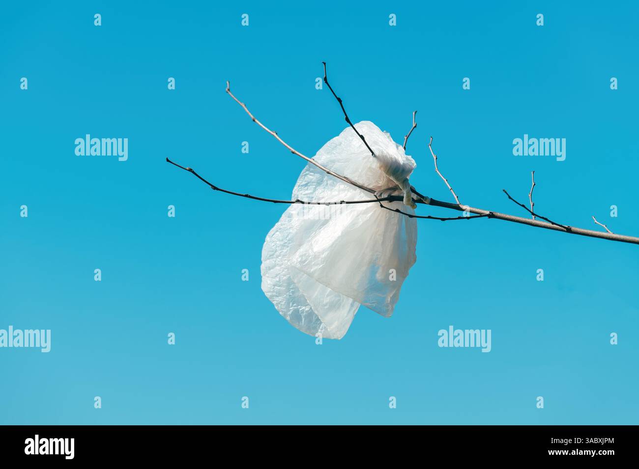 Plastic pollution tree hi-res stock photography and images - Alamy