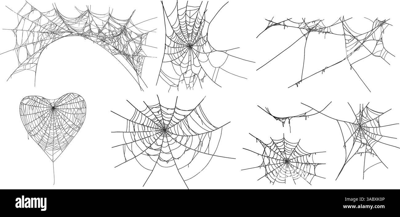Spooky halloween old cobweb with various sizes and shapes. Old spider ...