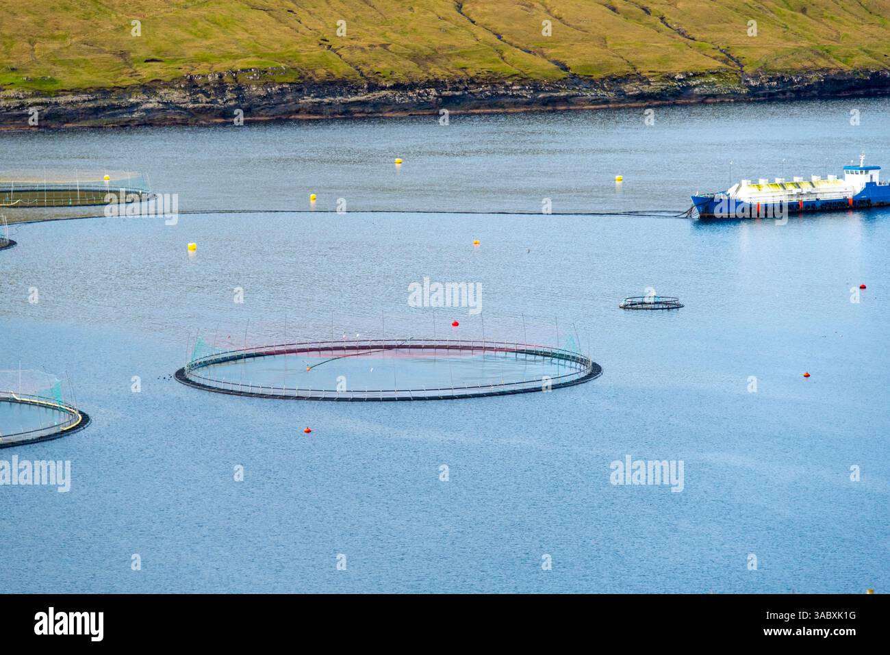 Salmon Farming - Faroe Islands Stock Photo - Alamy