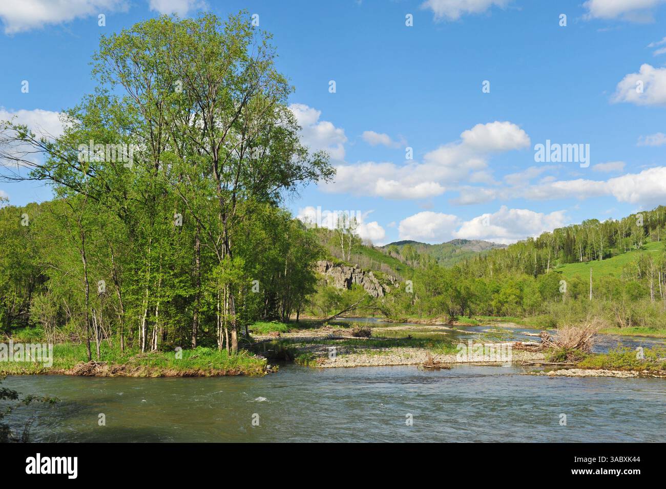 The Chernaya Uba River, in a mountainous area Stock Photo - Alamy