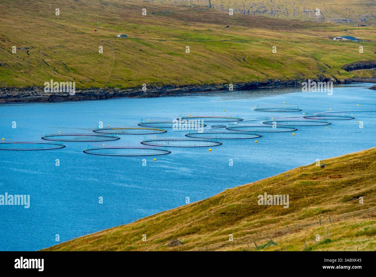 Salmon Farming - Faroe Islands Stock Photo - Alamy