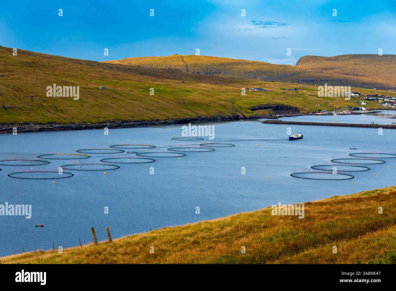 Salmon Farming - Faroe Islands Stock Photo - Alamy