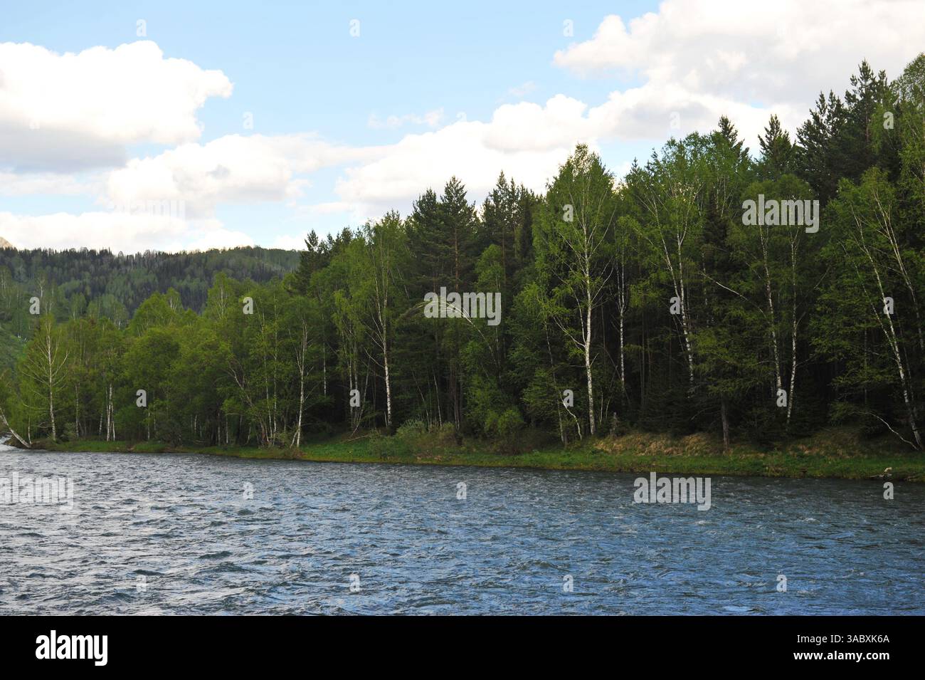 The Chernaya Uba River, in a mountainous area Stock Photo - Alamy