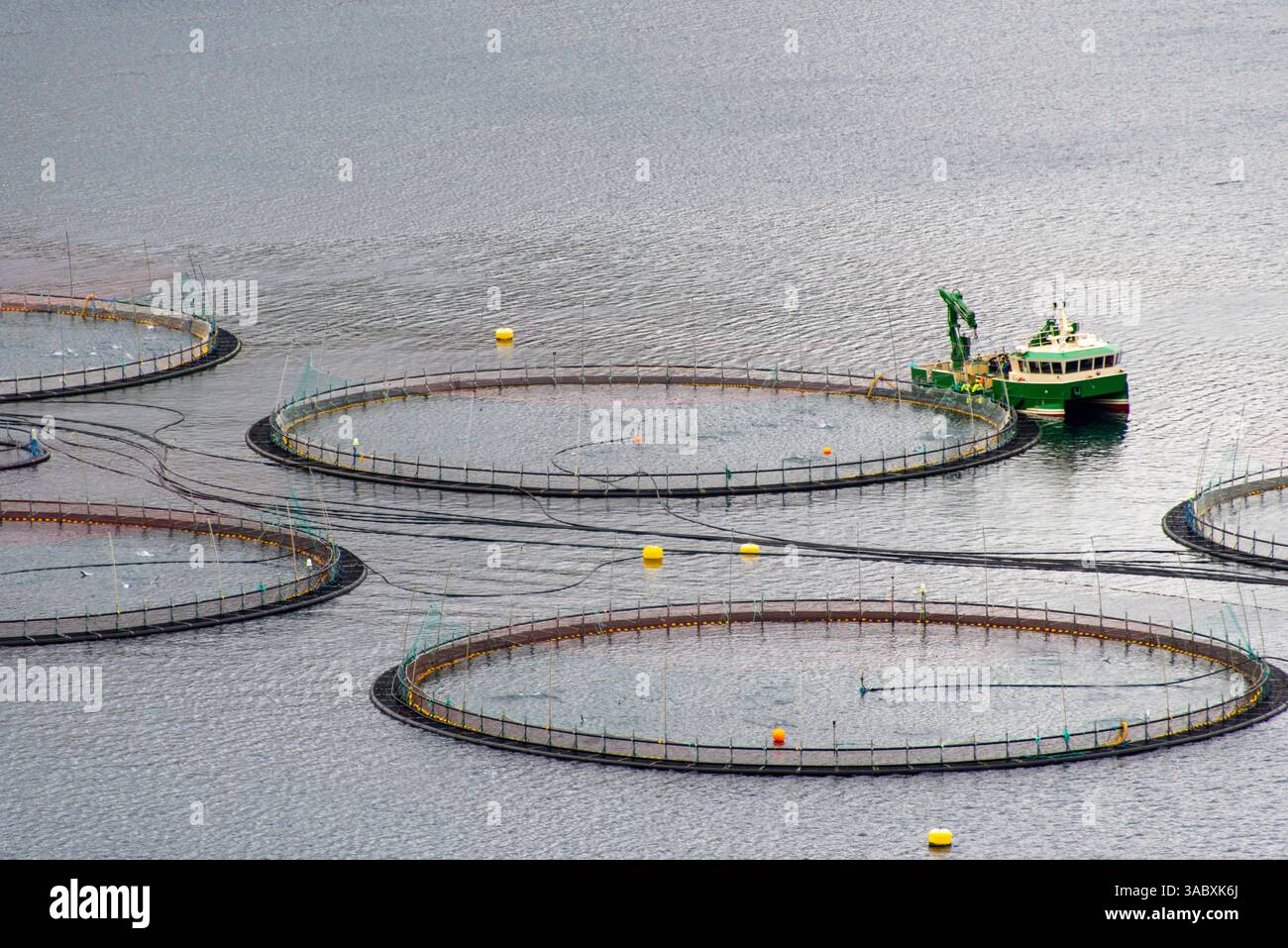 Salmon Farming - Faroe Islands Stock Photo - Alamy