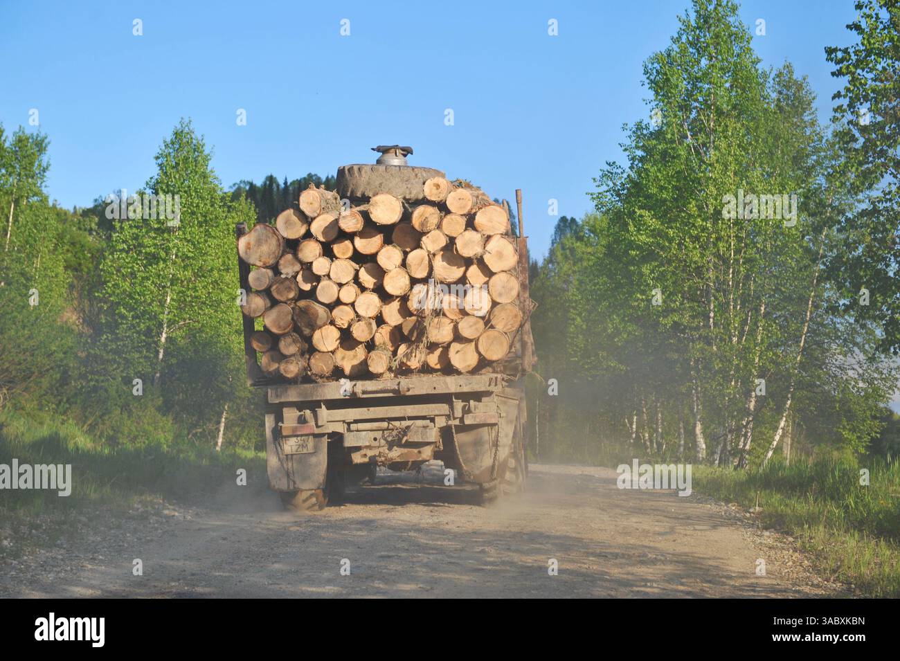 Transportation of wood on a large truck in rural areas Stock Photo - Alamy