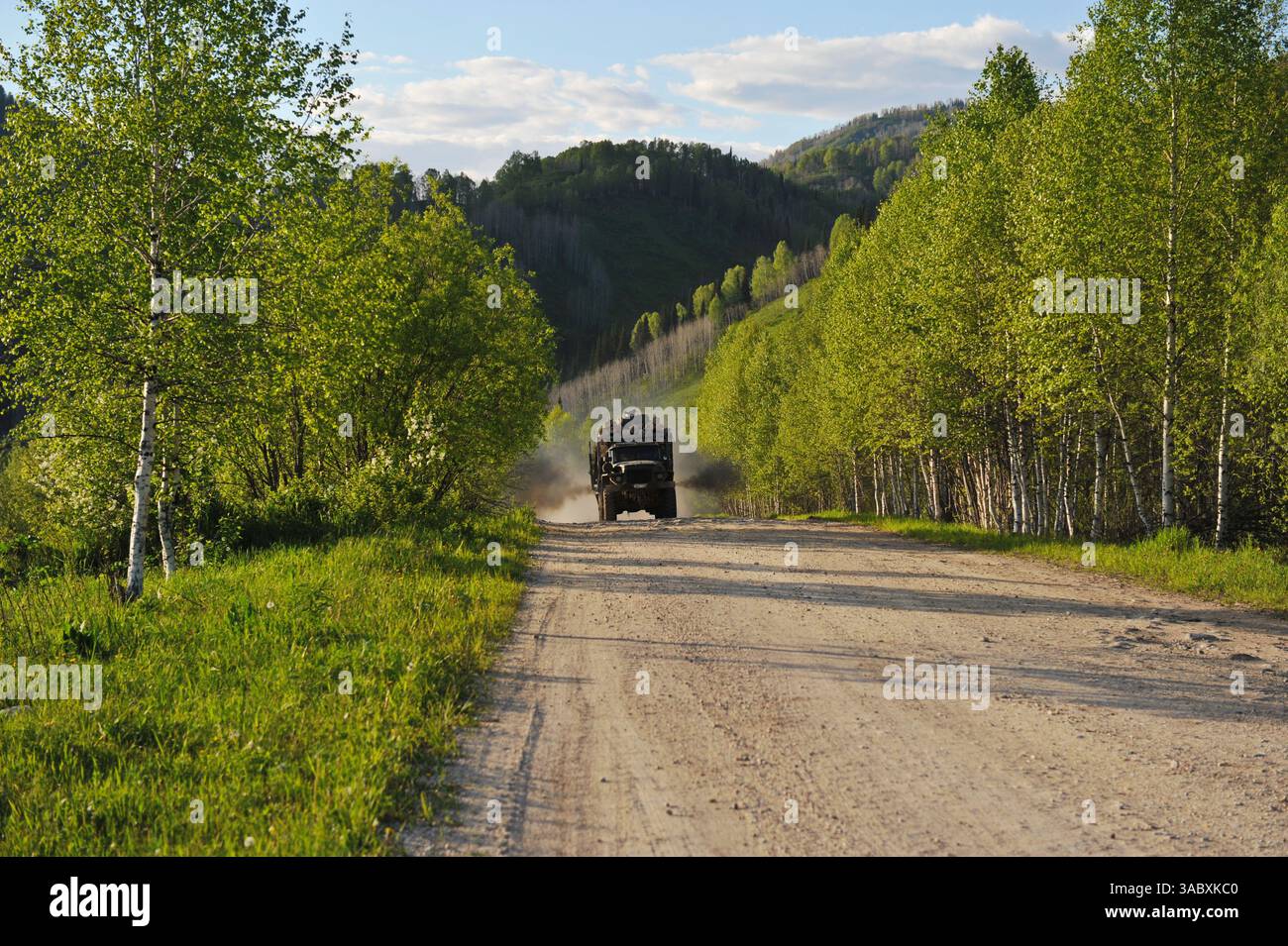 Transportation of wood on a large truck in rural areas Stock Photo - Alamy