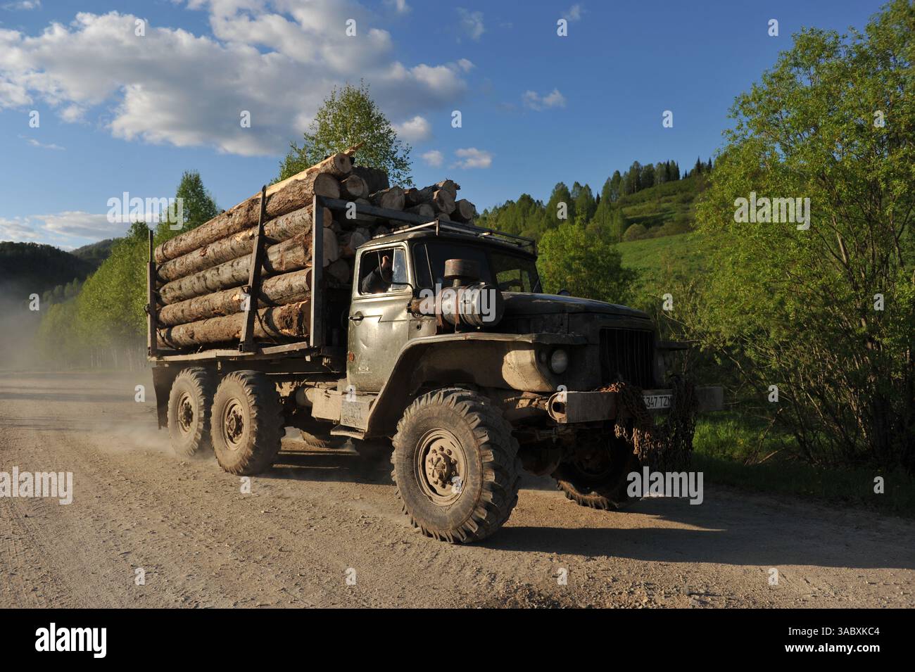 Transportation of wood on a large truck in rural areas Stock Photo - Alamy