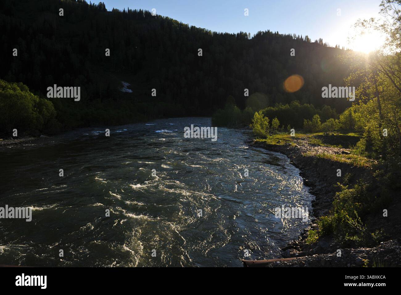 The Chernaya Uba River, in a mountainous area Stock Photo - Alamy