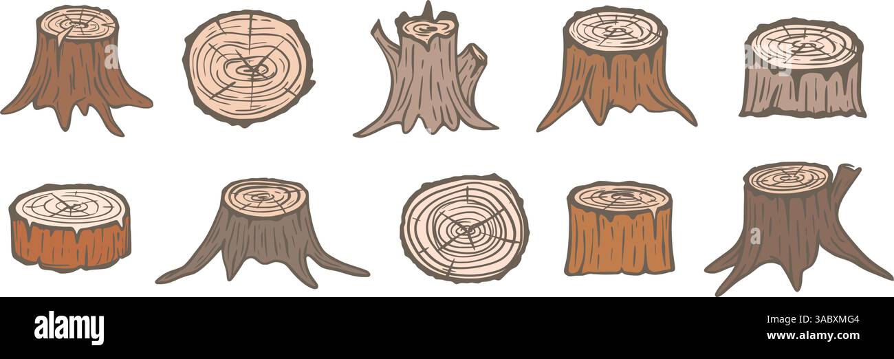 Old stumps of different trees set. Sawed tree trunk and stumps with roots color clip art. Vector ...