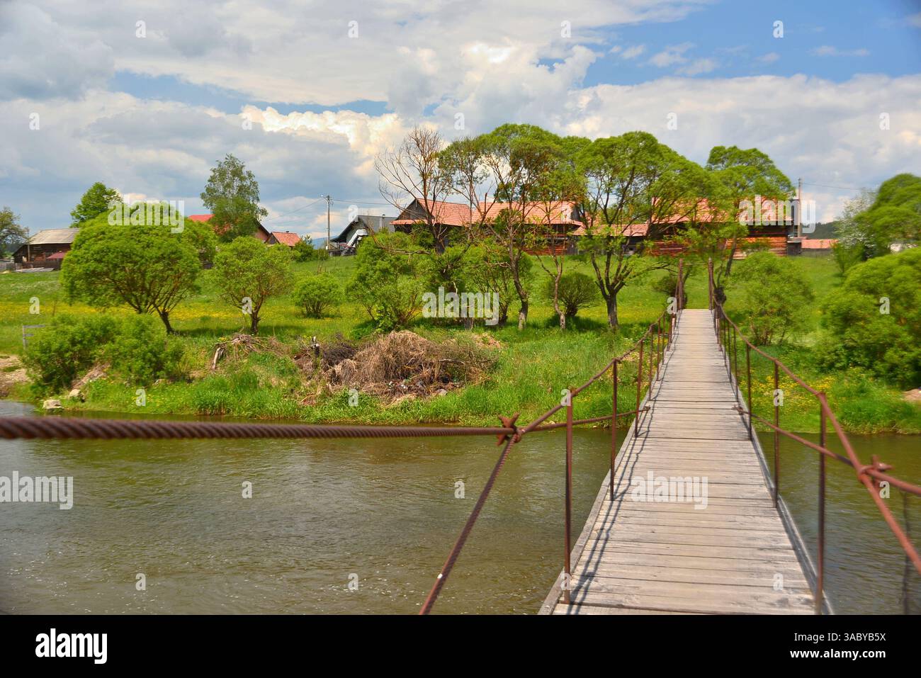 Rustic pedestrian suspension bridge over the river Mures in a rural ...