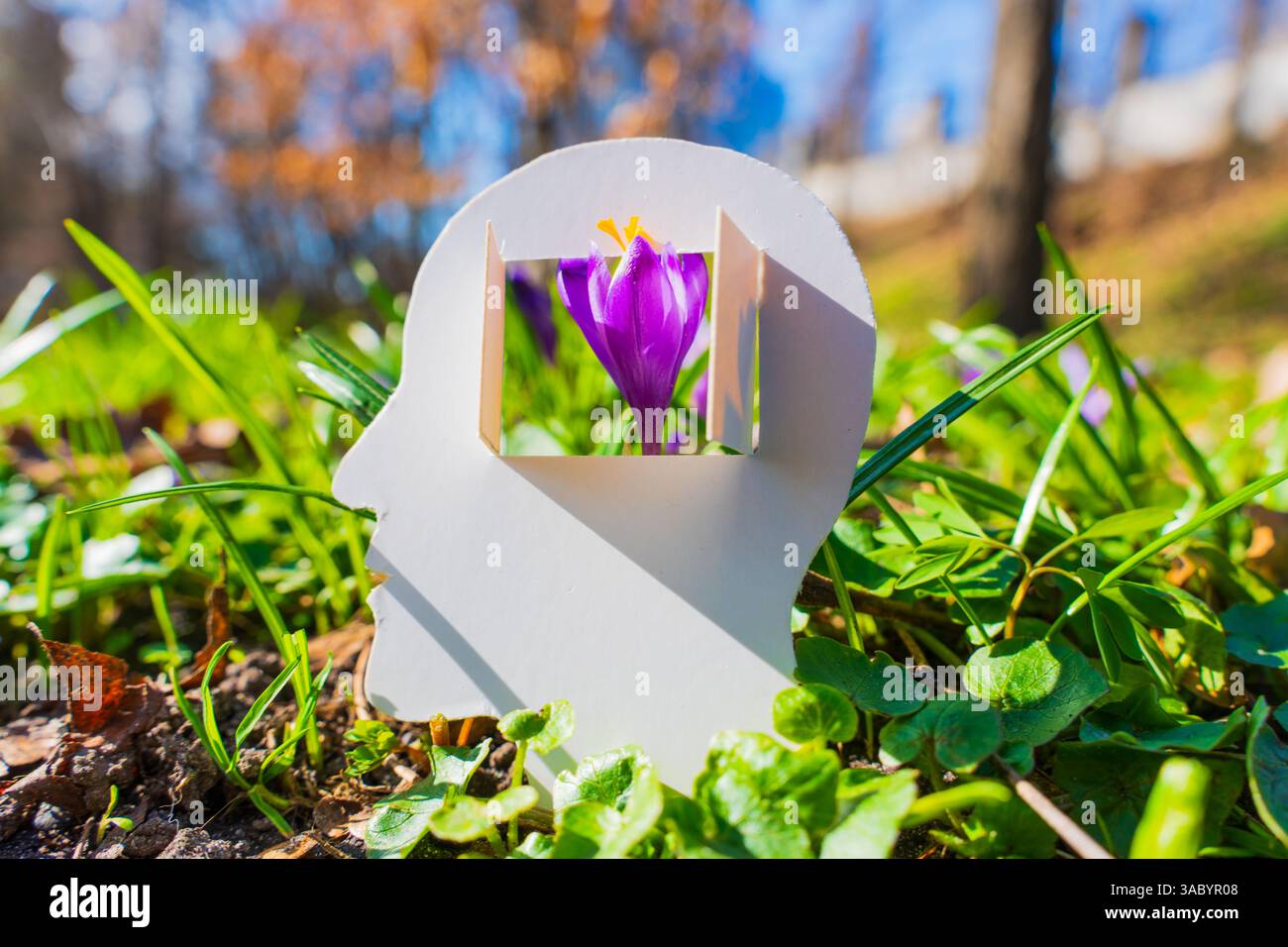 Paper cutout of a man's head profile with a window revealing a blooming ...