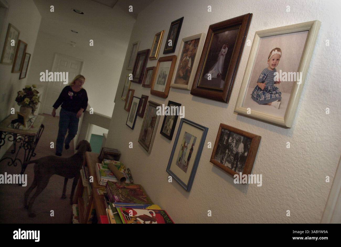 (PUBLISHED 02/08/2002, A-5): Brenda van Dam and her weimaraner walked ...