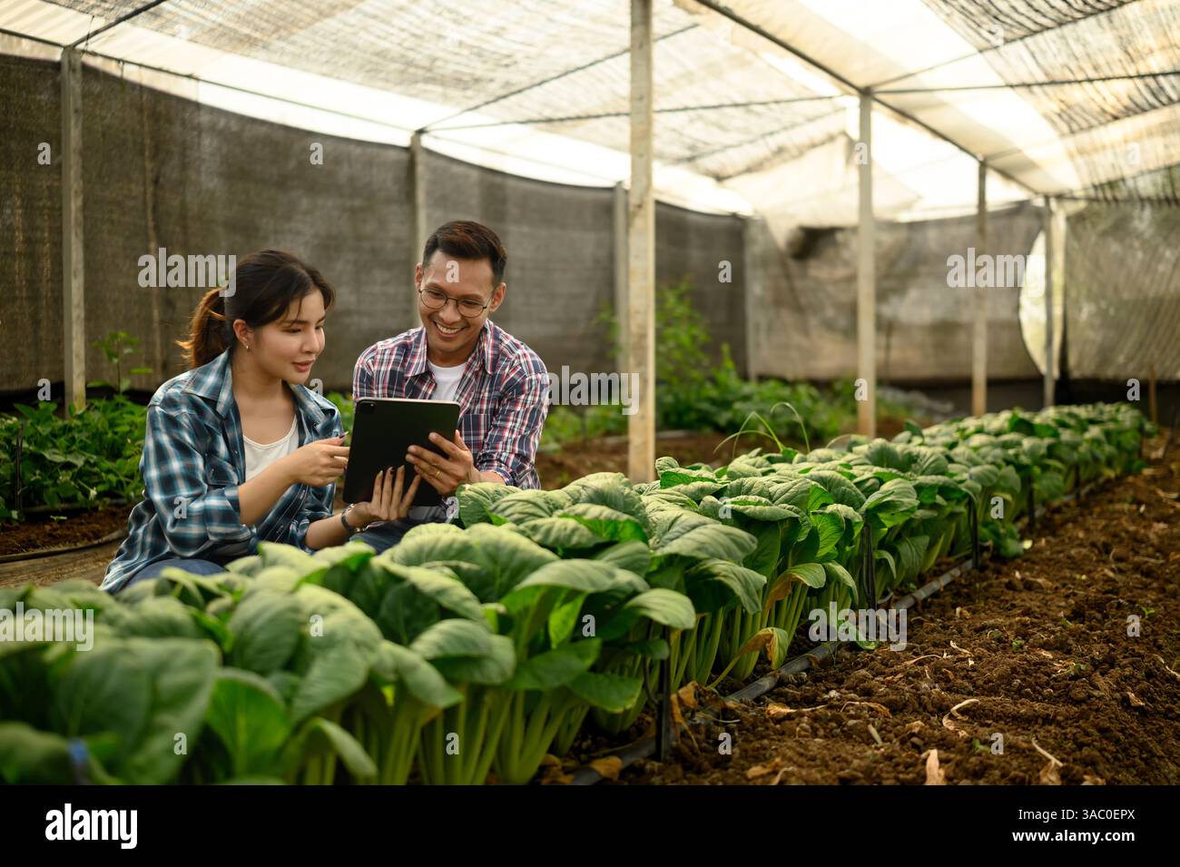 Modern farmers analyzing crop data on digital tablet. Concept of smart ...