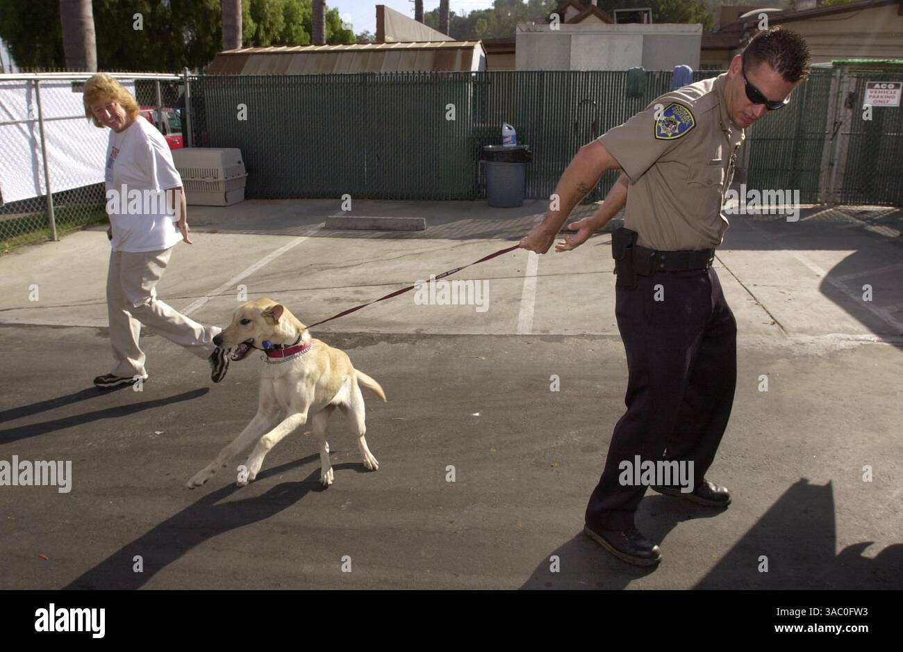 Sonny neuman hi-res stock photography and images - Alamy
