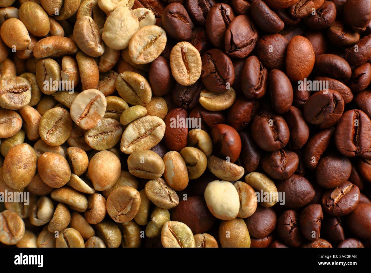 Green to dark roasted coffee beans in various stages, highlighting ...