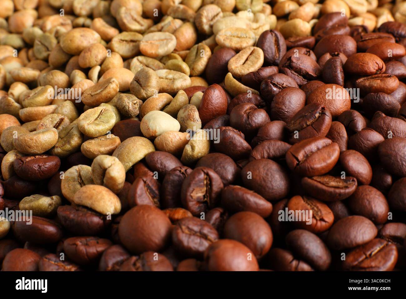 Coffee beans in stages of roasting: green, light, medium, and dark ...