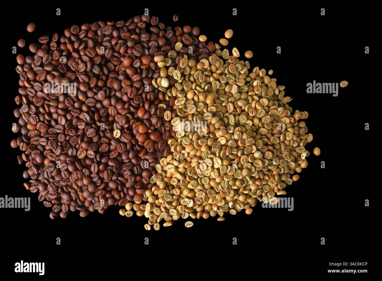 A visual progression of coffee beans from green to dark roasted ...