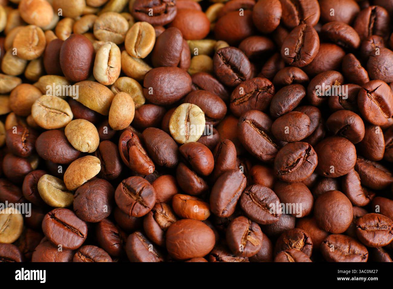 Different roasting stages hi-res stock photography and images - Alamy