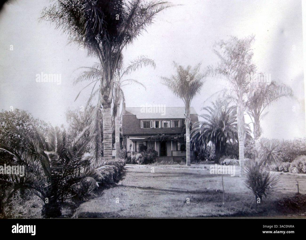 (Published 01/09/2004, B-3:2, UTS1782282) An undated photograph which ...