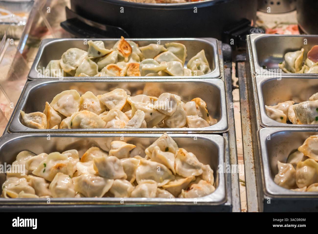 Chinese pan fried dumplings with different fillings on display at Brick ...