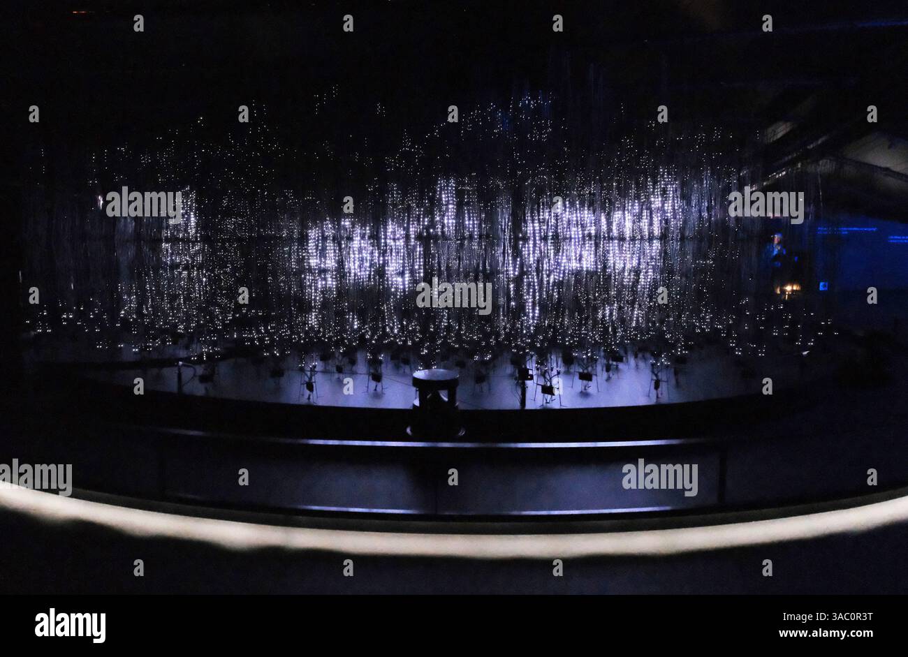 An Installation Imbued with Light at "The DYNAMIC EQUILIBRIUM OF LIFE ...