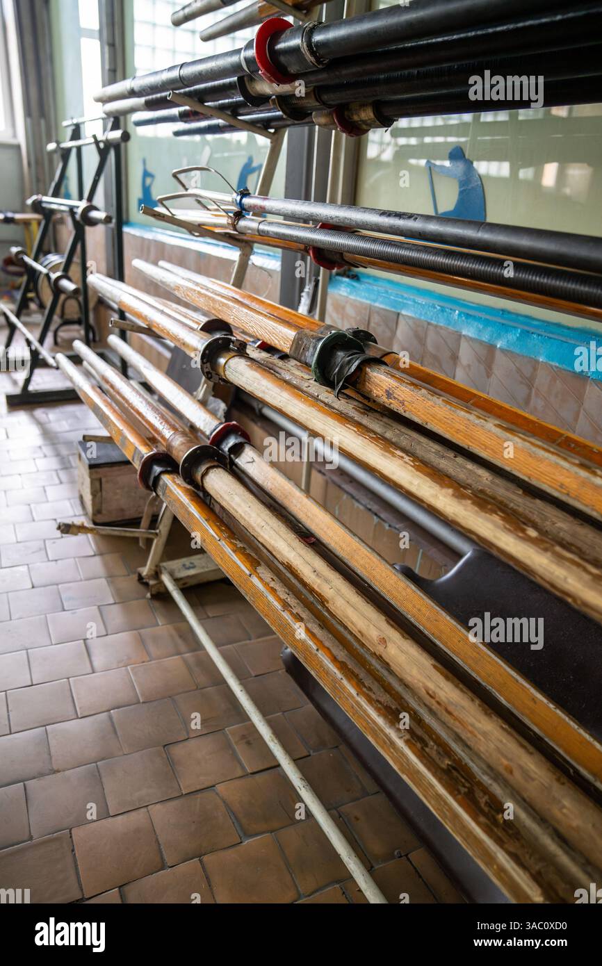 Wooden old oars in rowing base indoor Stock Photo - Alamy