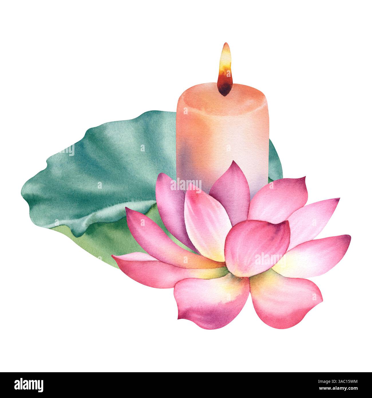 Pink lotus flowers and leaves with a candle. A hand-drawn watercolor ...