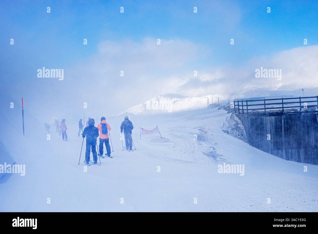 family of skiers moves along a transit route in bad weather in the alps ...