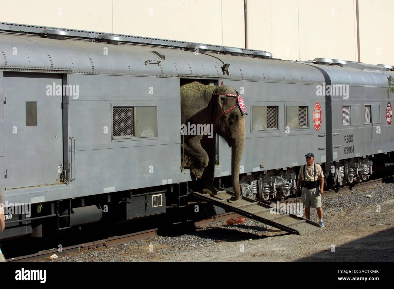 Jun 20, 2007 - Las Vegas, NV, USA - Elephants from the Ringling Bros ...