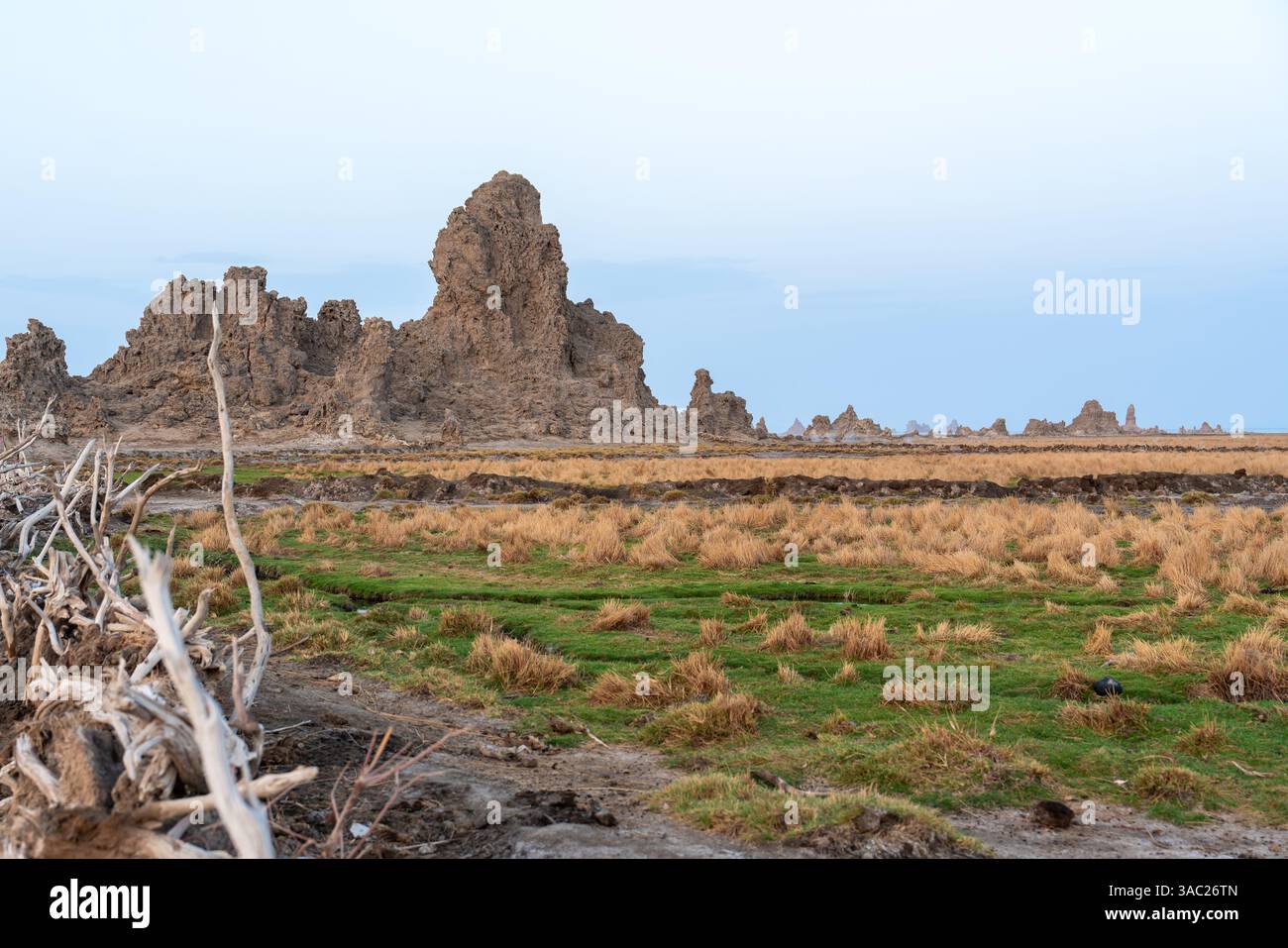 Djibouti, view at the dried-up lake Abbe with its rock formations Stock ...