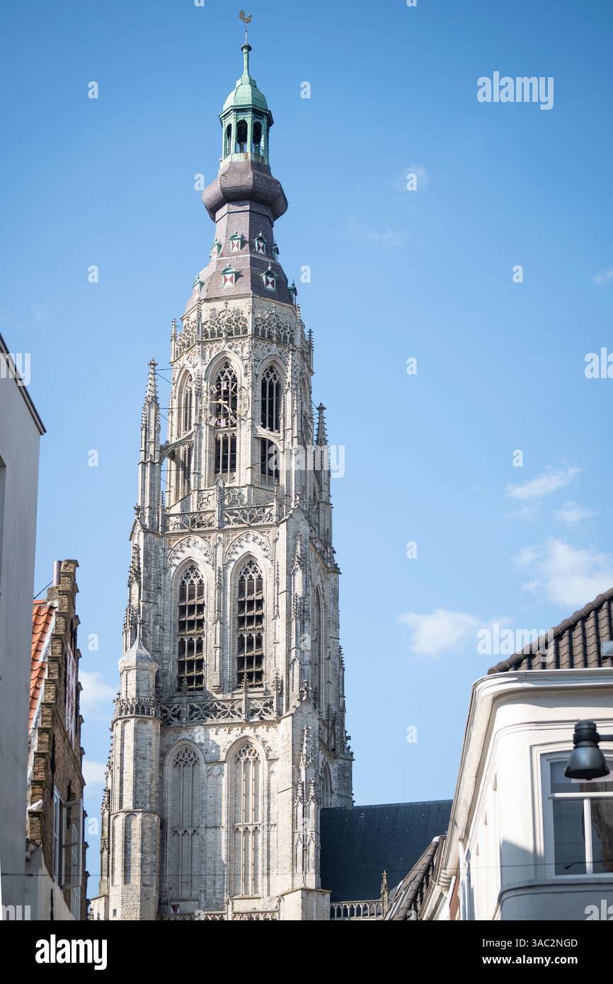 Tower of main church (Grote Kerk) of Breda, Netherlands Stock Photo - Alamy