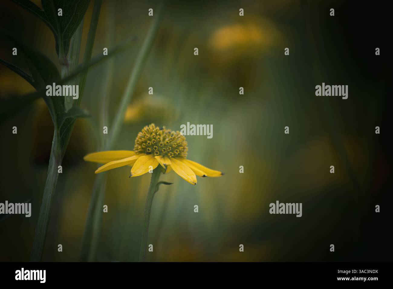 Round table displays hi-res stock photography and images - Alamy