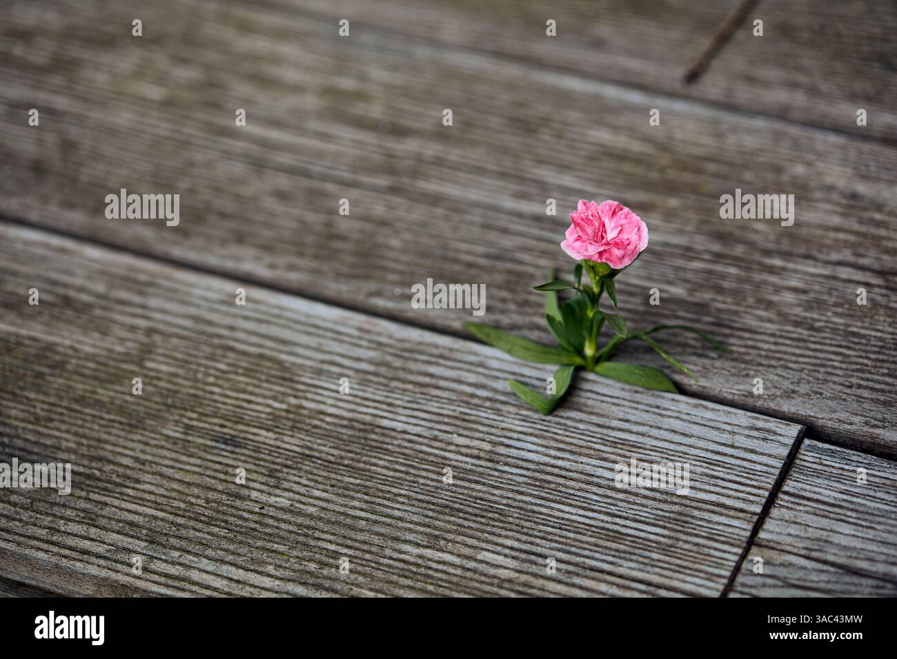 Mindsetshift hi-res stock photography and images - Alamy