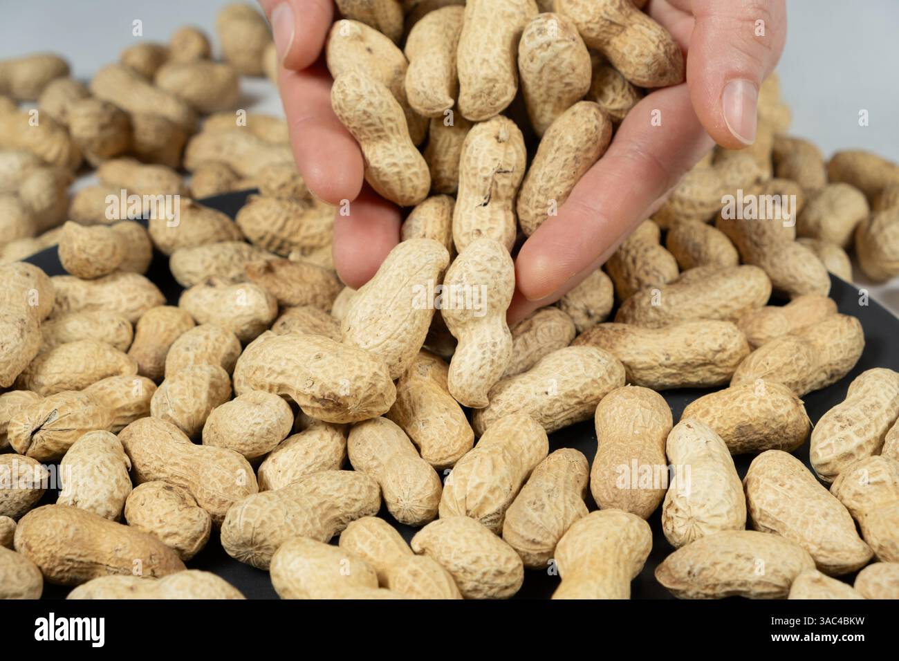 Hands pour unpeeled peanuts in hi-res stock photography and images - Alamy