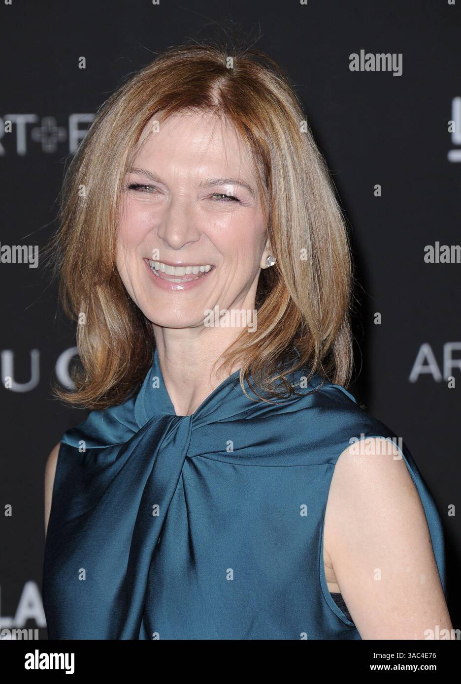Dawn Hudson at the 2014 LACMA Art + Film Gala honoring film director ...