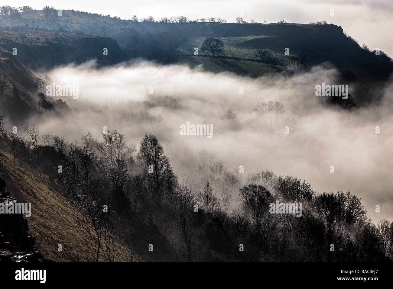 Scout scar hi-res stock photography and images - Alamy