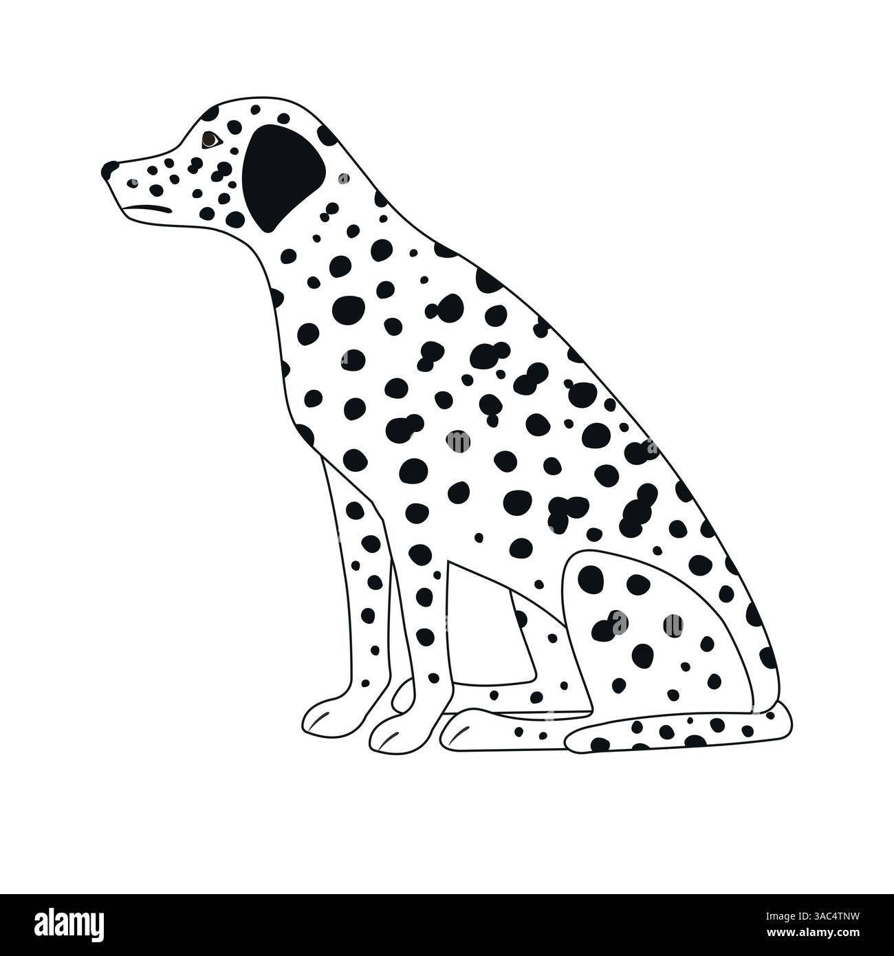 Vector flat hand drawn Dalmatian dog Stock Vector Image & Art - Alamy