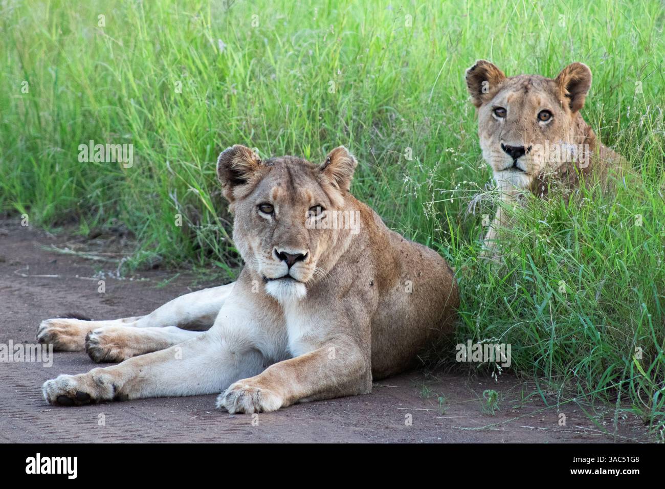 She owns this place Stock Photo - Alamy