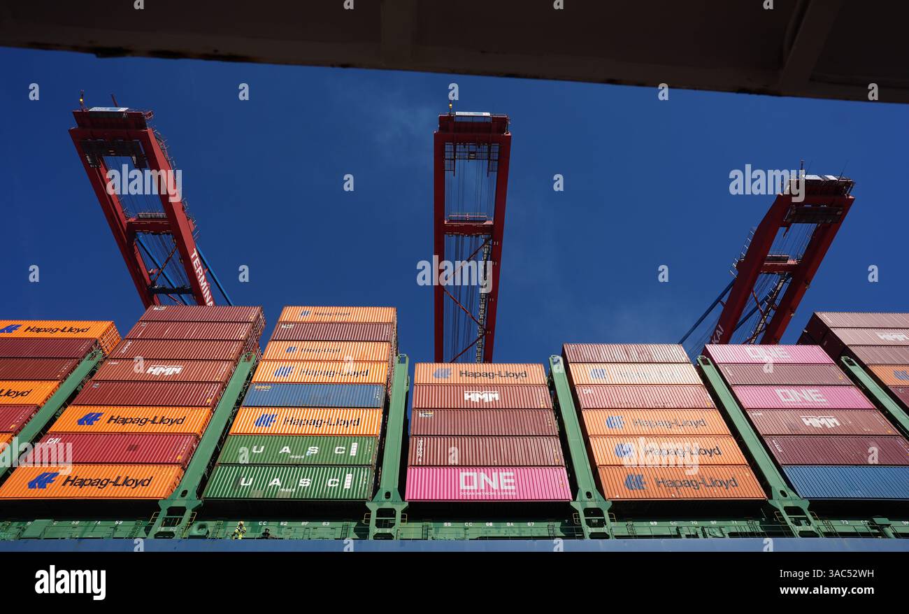 03 April 2025, USA, Washington: A container ship is handled at the ...