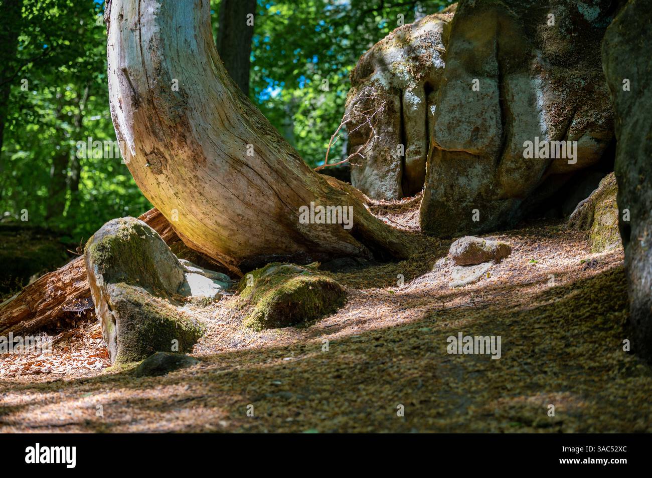 The Devil's Gorge at the Dinopark in Ernzen Stock Photo - Alamy