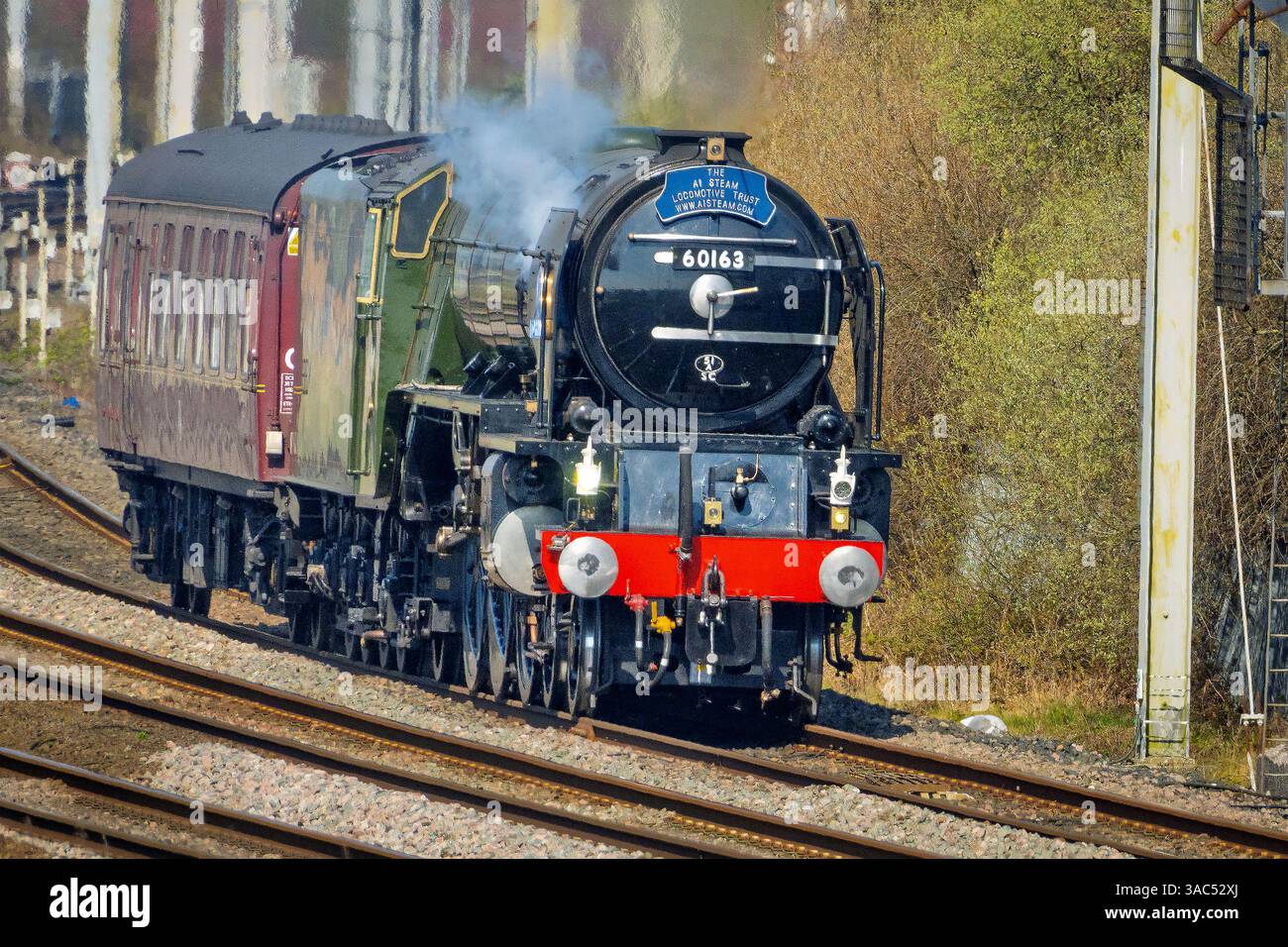 Tornado Pacific steam locomotive on the West Coast main line heading ...