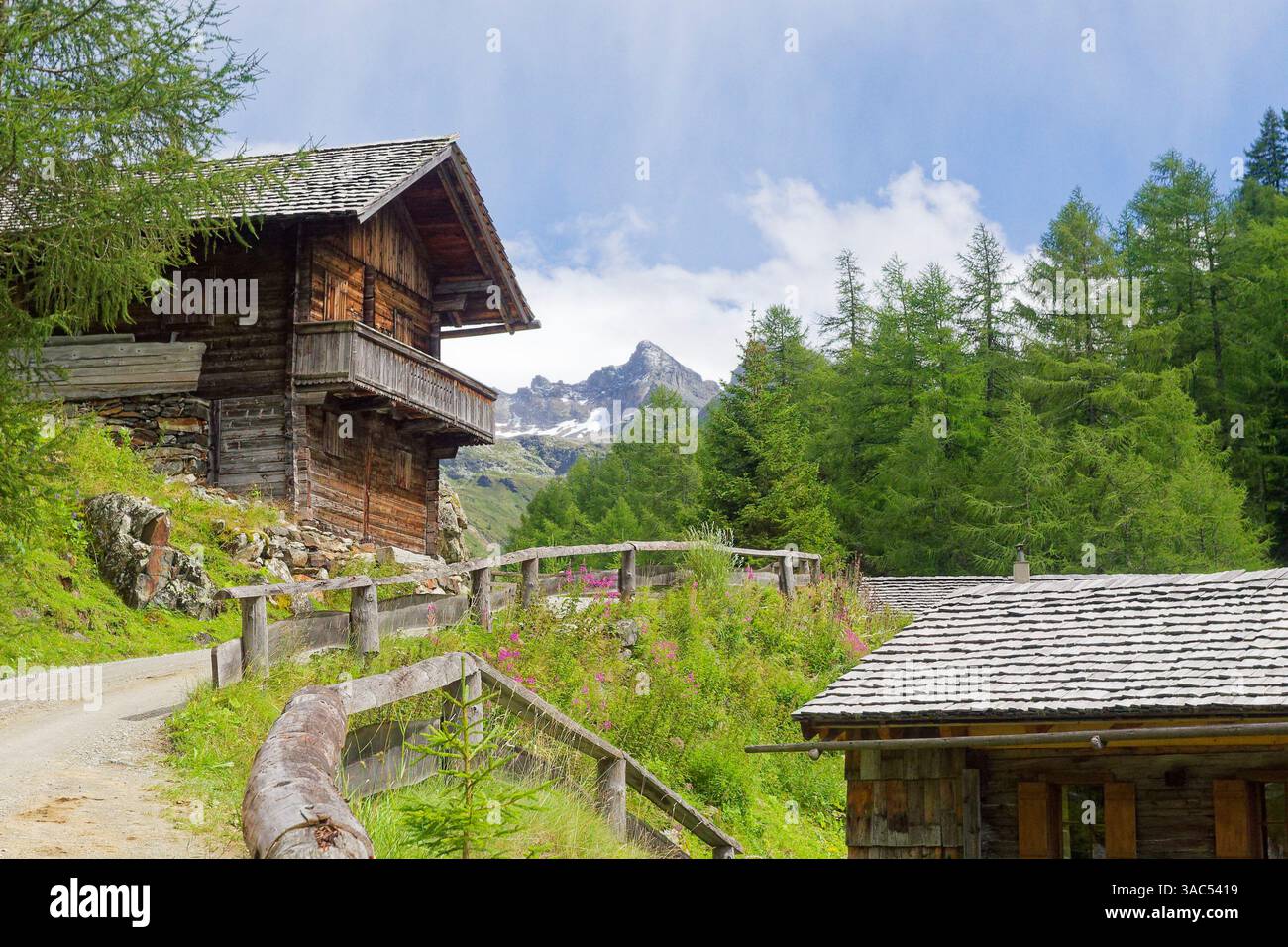 Old idyllic alp buildings of the Aussergschlöss alp in East Tyrol ...
