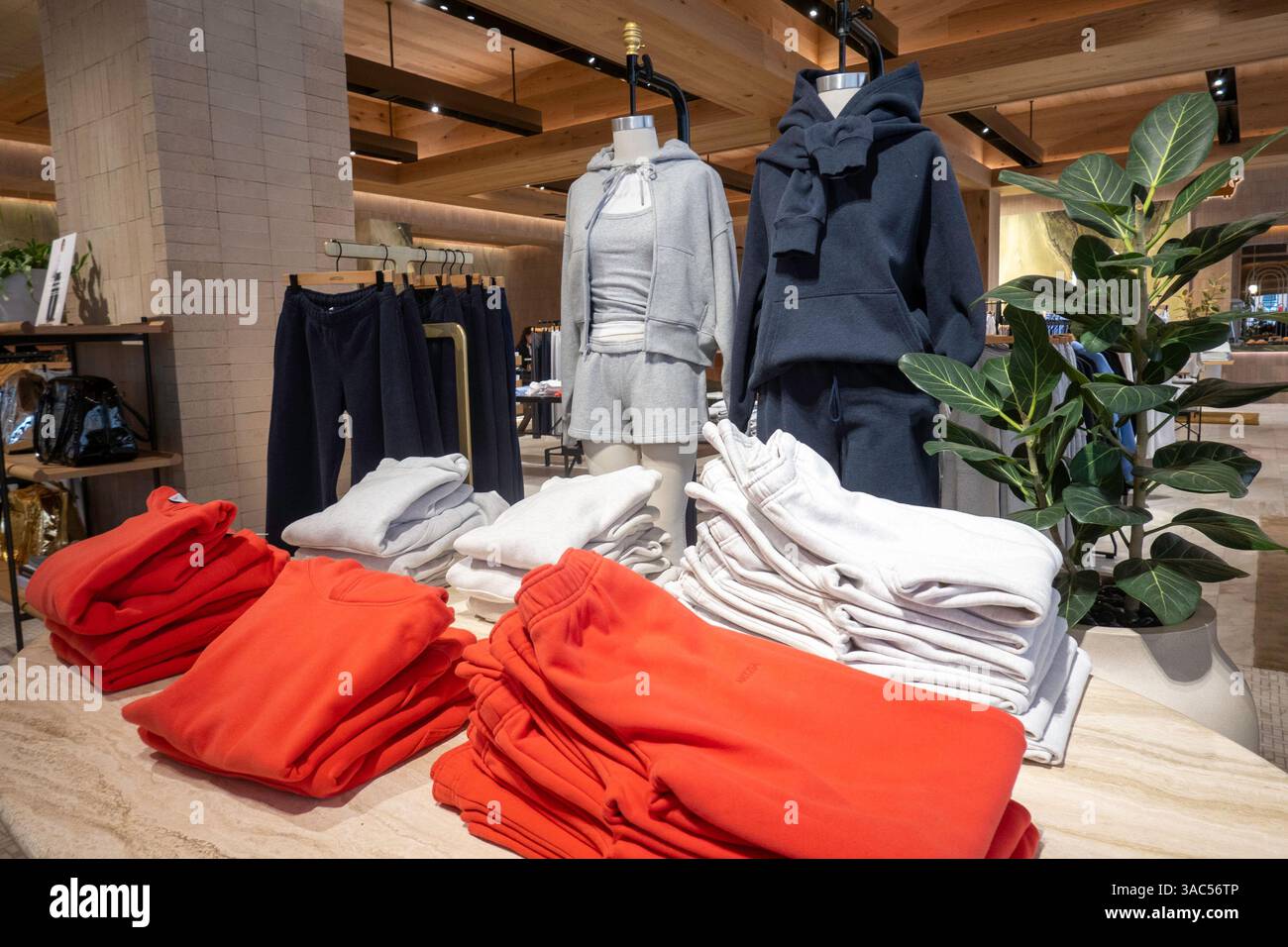 Aritzia flagship store is located on Fifth Avenue in New York City, USA ...