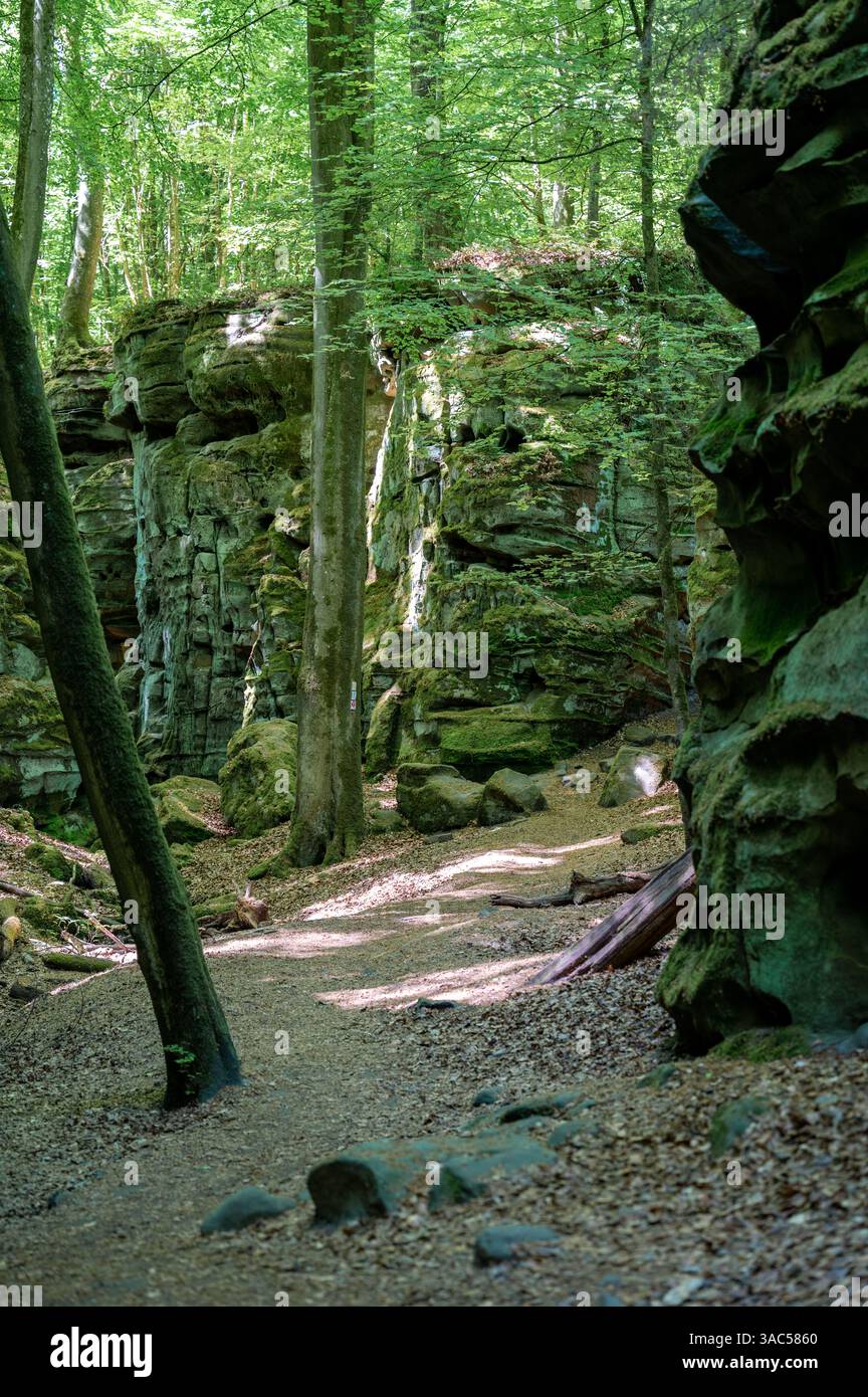 The Devil's Gorge at the Dinopark in Ernzen Stock Photo - Alamy