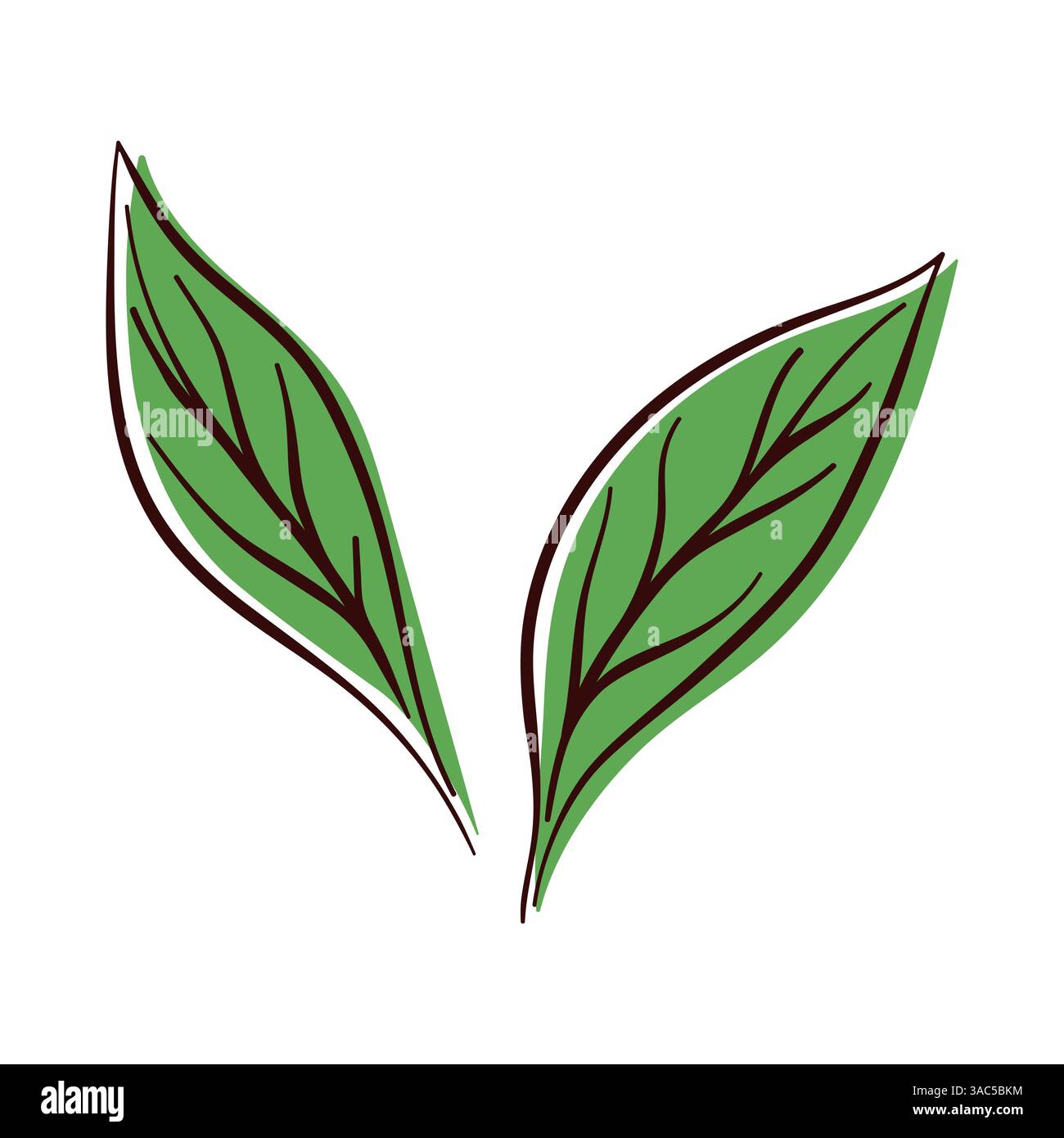 Elegant Leaf Design of lemon in flat style. Perfect for botanical ...