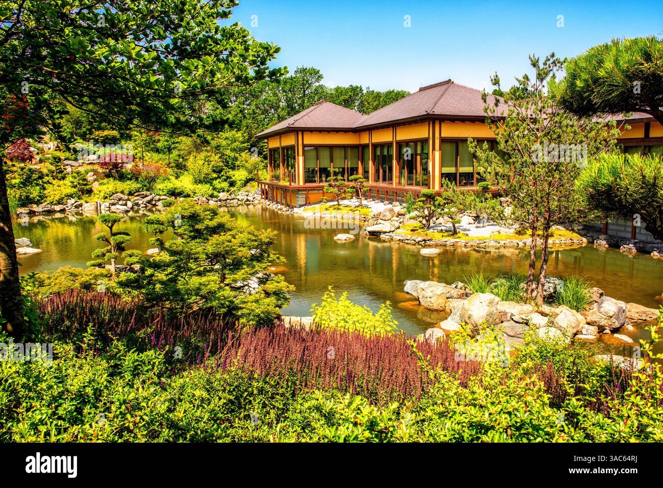 Lake landscape in Galitsky Park in Krasnodar Stock Photo - Alamy