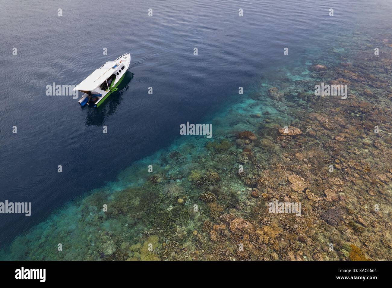 Scuba diving boat at the edge of a drop-off of a tropical coral reef in ...